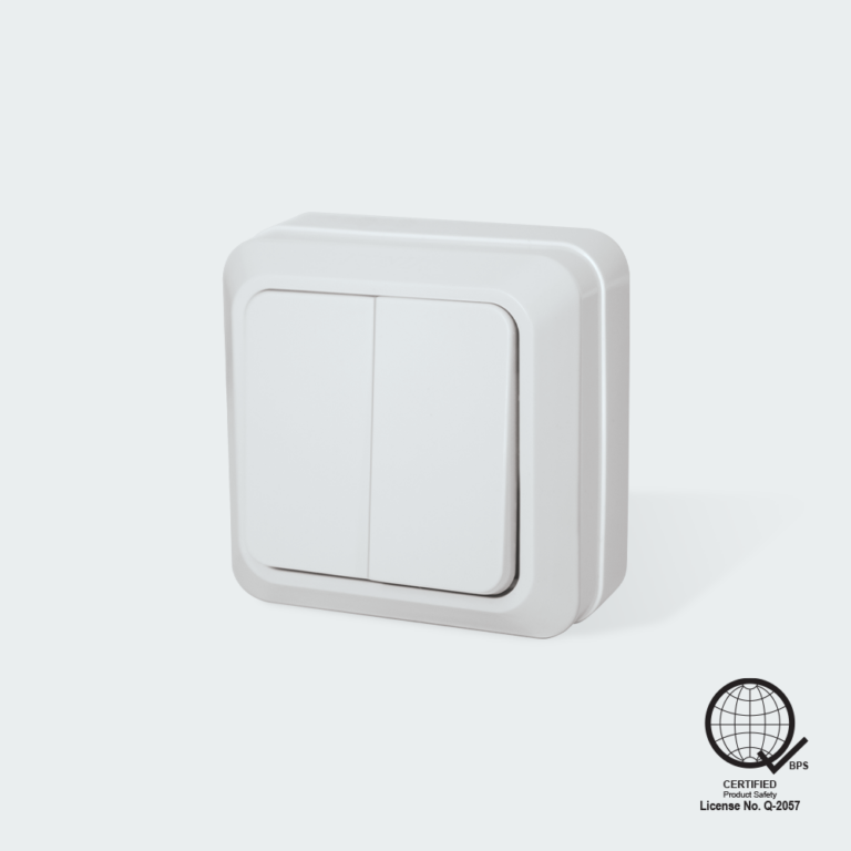 ROYU 2 Gang Switch - Surface Type - Firefly Electric and Lighting ...